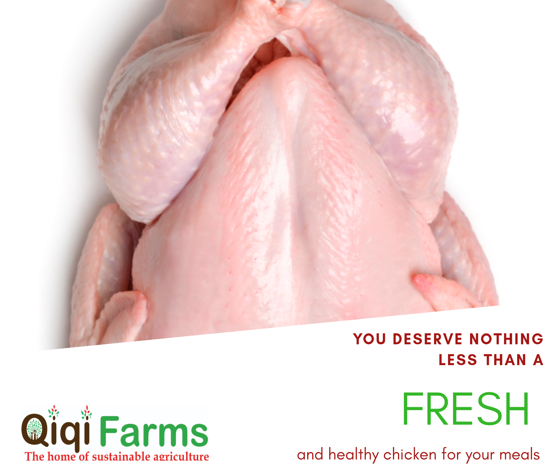Fresh and live chicken - Qiqi Farms | Flutterwave Store