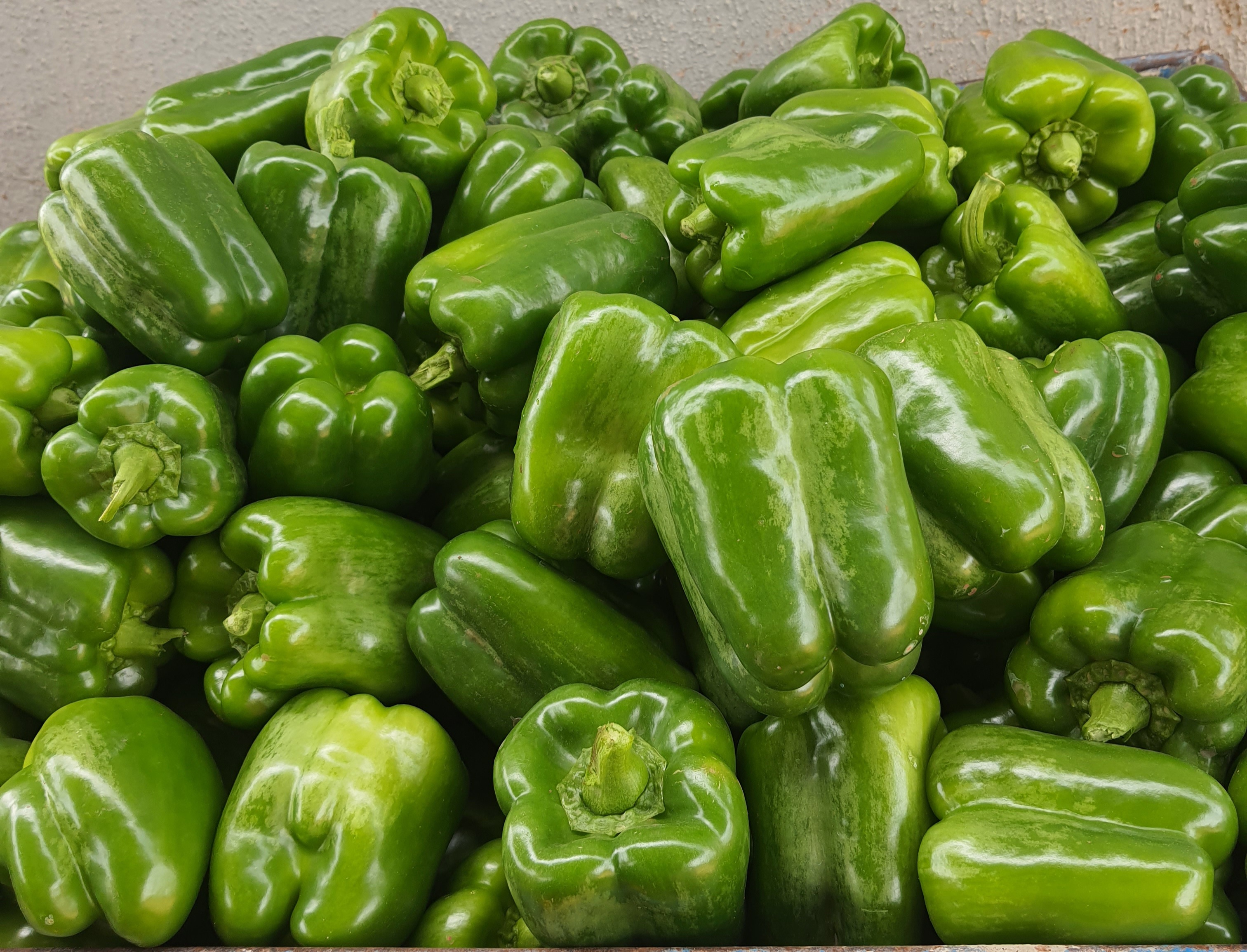 Green Bell Pepper - Wholeagri | Flutterwave Store