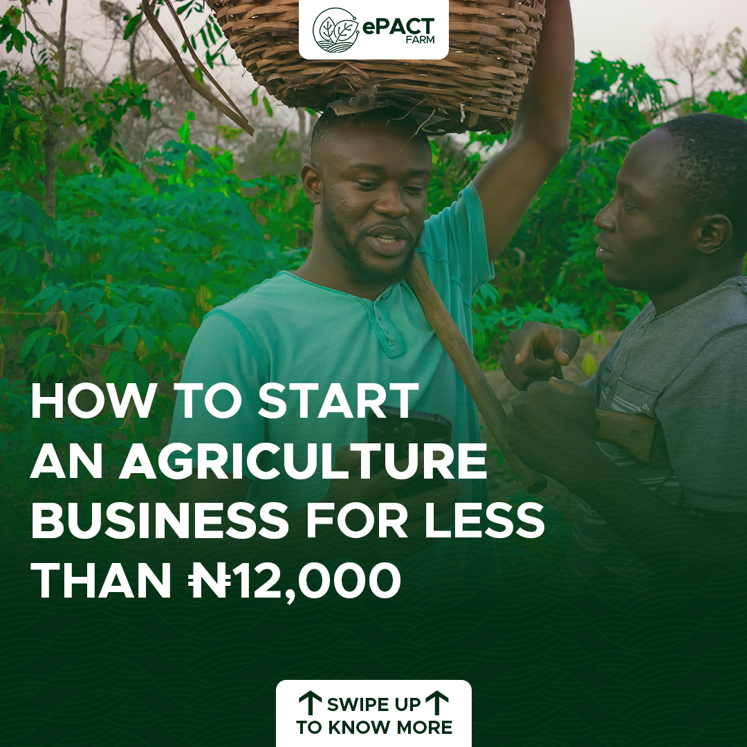 ePact farm | Flutterwave Store